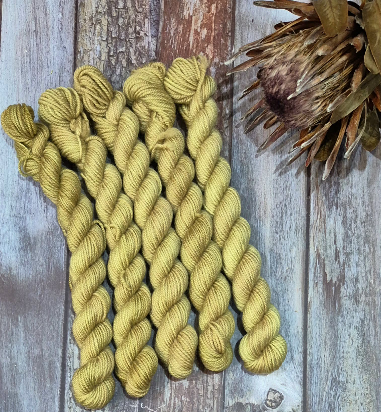 Grass Root Beer (Fledgling 4ply Sock - SW Merino / Nylon)